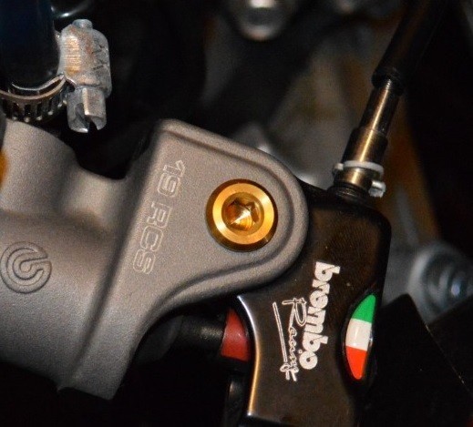 Brembo RCS Gold Titanium Lever Pivolt Bolt Pins